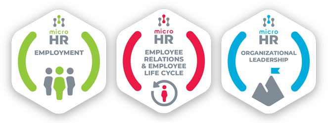Introducing Micro HR: Elevate Your HR Career with Digital Badges